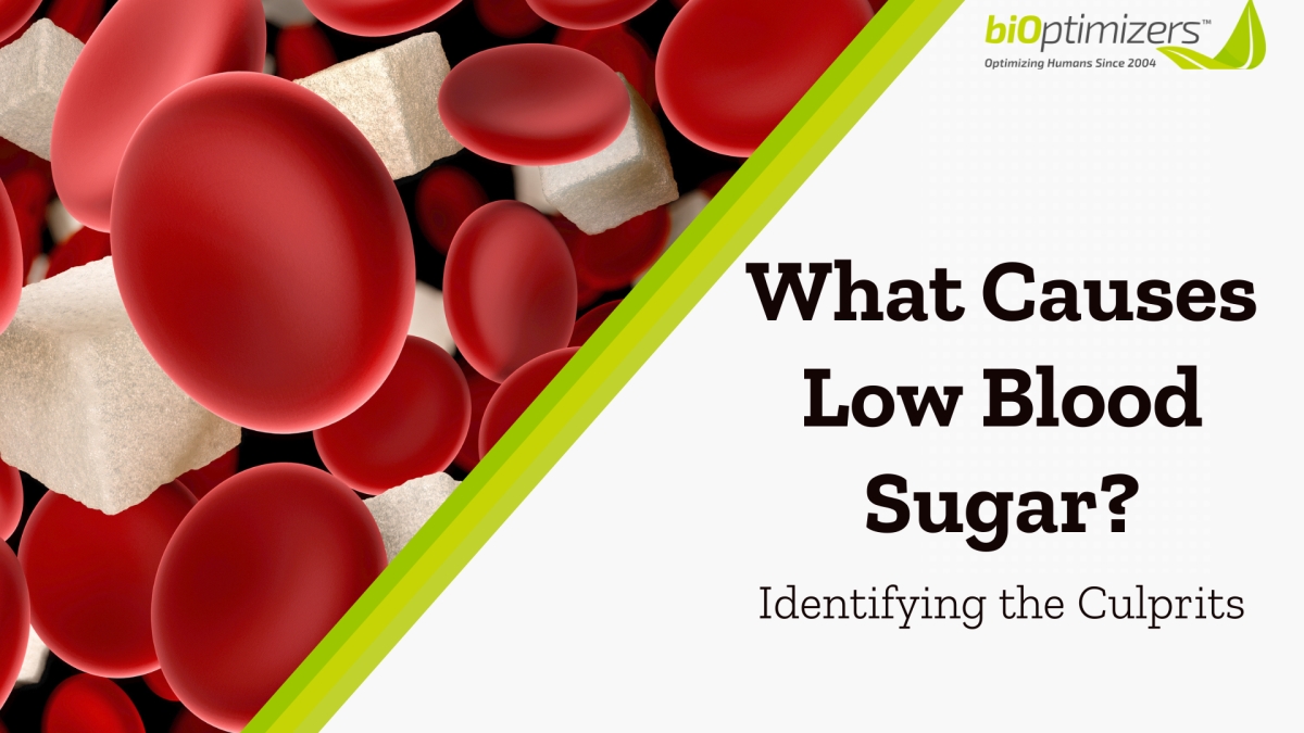 What Causes Low Blood Sugar? Identifying the Culprits – BIOptimizers Blog