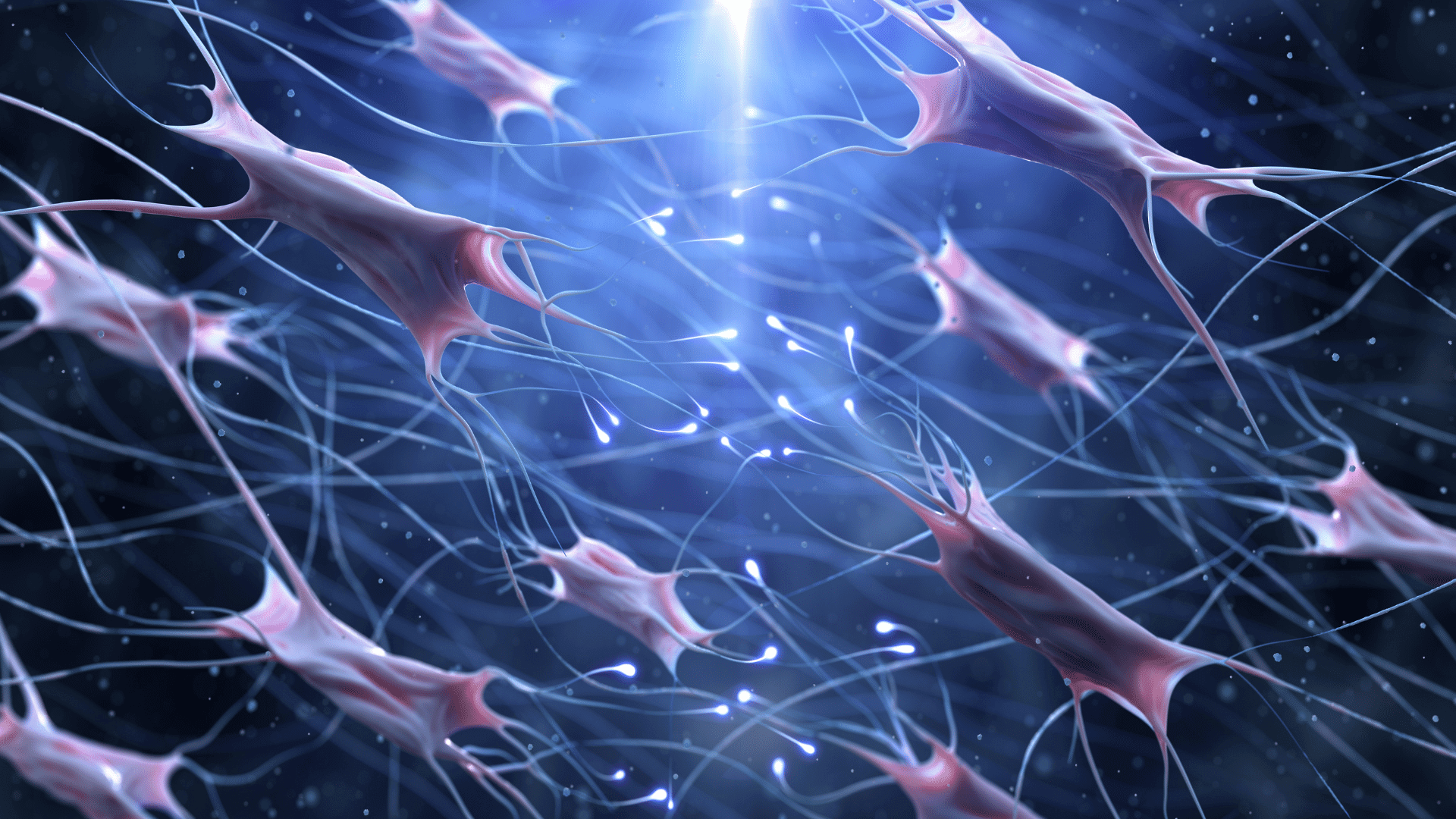 Nutrition for Optimal Connective Tissue Health: Joints, Tendons ...