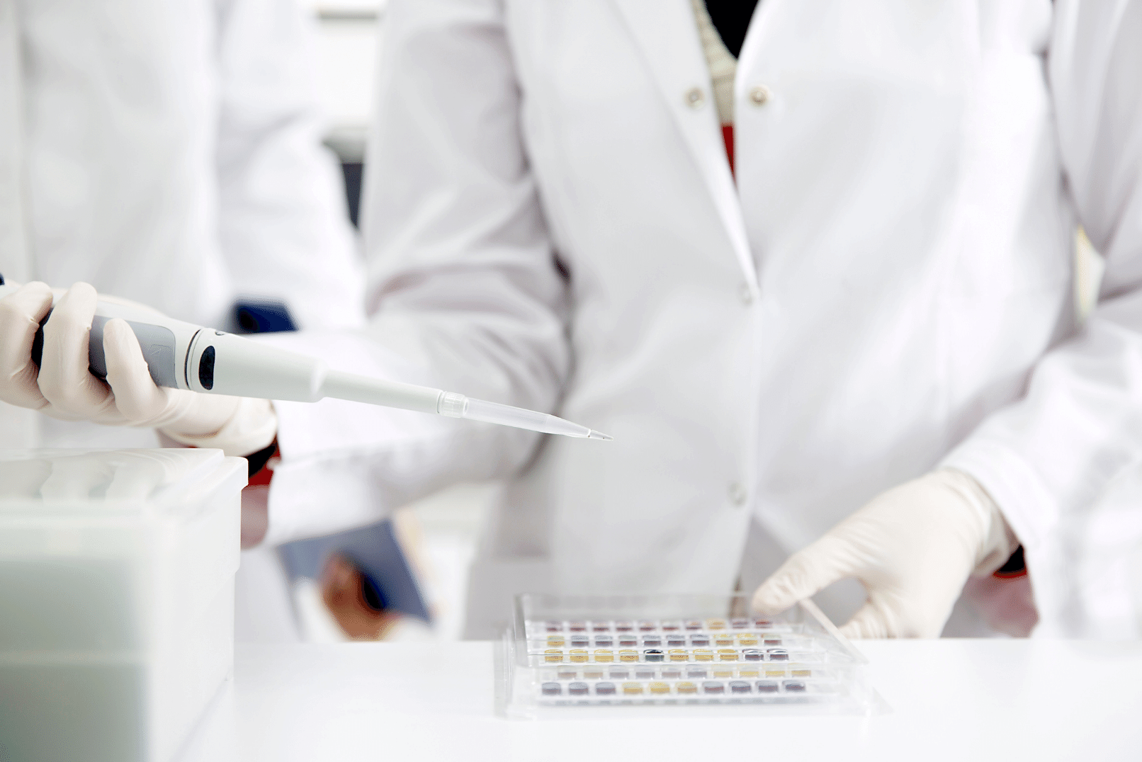 Part 2: Best Tests For Whole-Body Magnesium Deficiency And Statuses ...