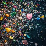 How to Remove Microplastics From Your Body - BIOptimizers Blog