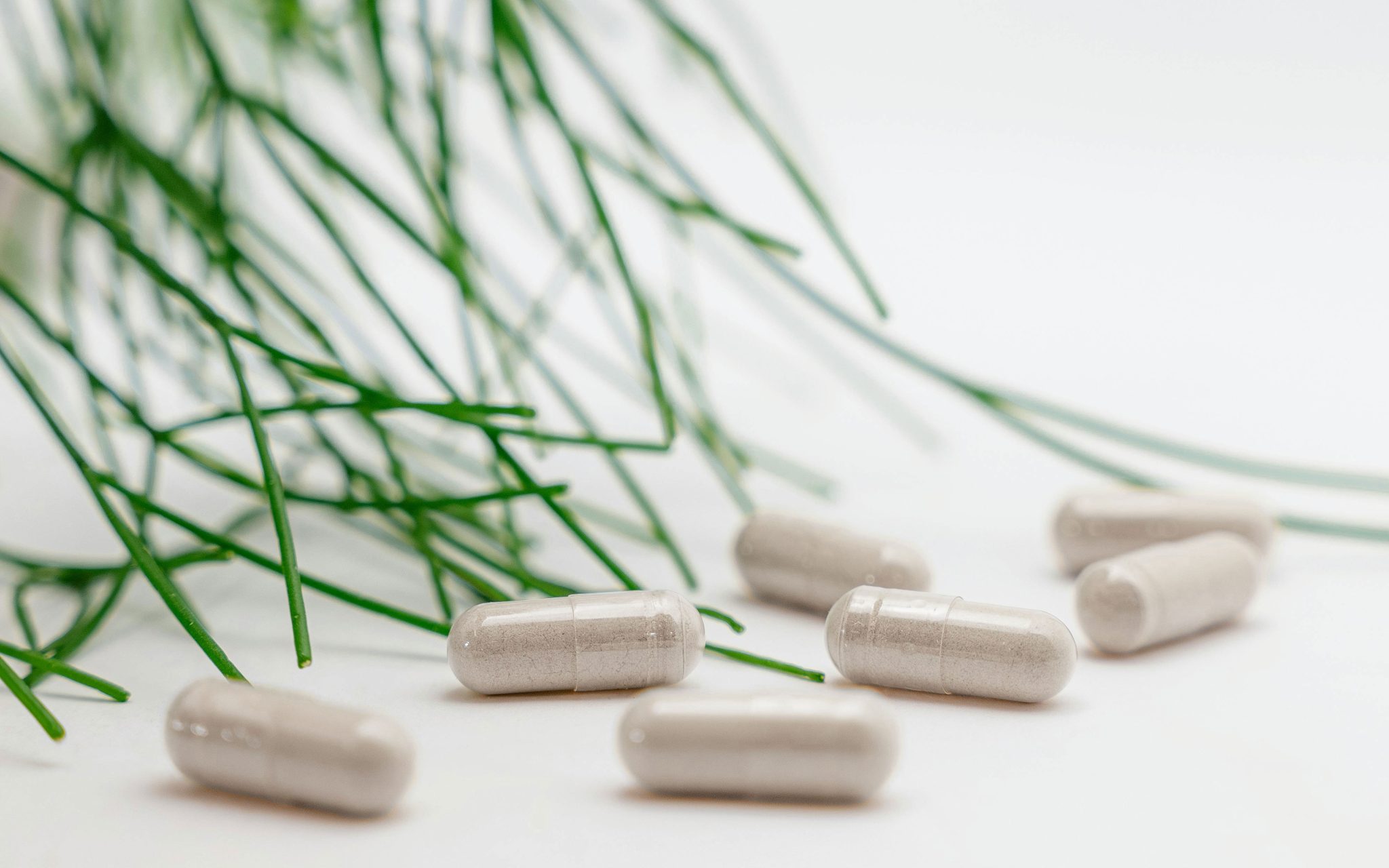 Do Probiotics Expire And Should You Still Take Them? - BIOptimizers Blog
